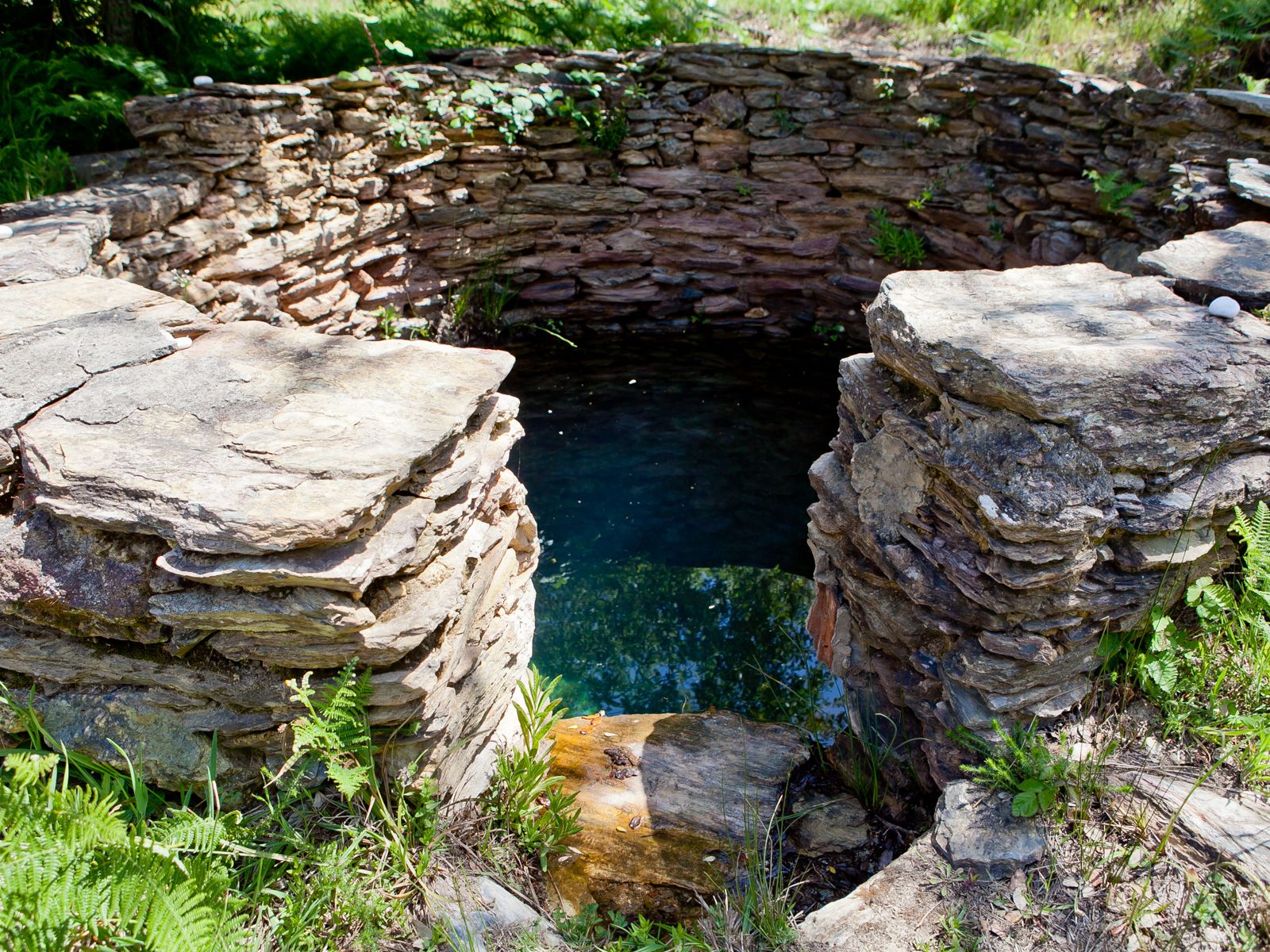 Our footprint or how eco is PNL? - Portugal Nature Lodge